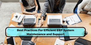 Powerful ERP System Maintenance Strategies to Energize Your Workflow