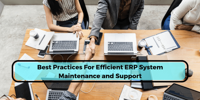 Powerful ERP System Maintenance Strategies to Energize Your Workflow